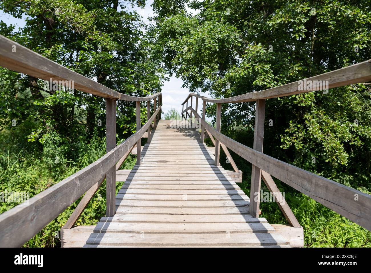 Geierlay footbridge hi-res stock photography and images - Alamy