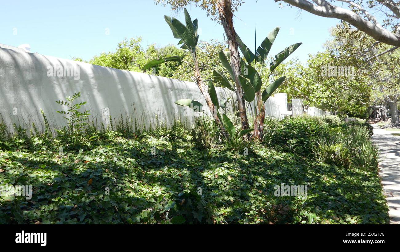 Santa Monica, California, USA 19th August 2024 Director/Comedian Mel ...