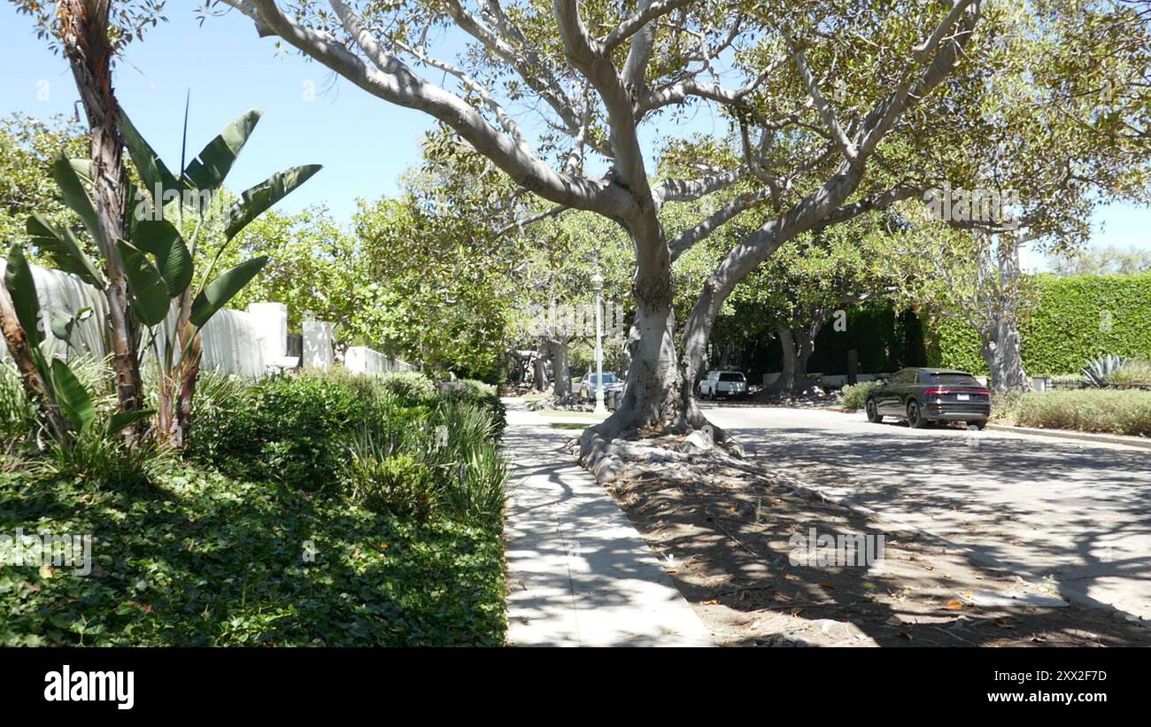 Santa Monica, California, USA 19th August 2024 Director/Comedian Mel ...