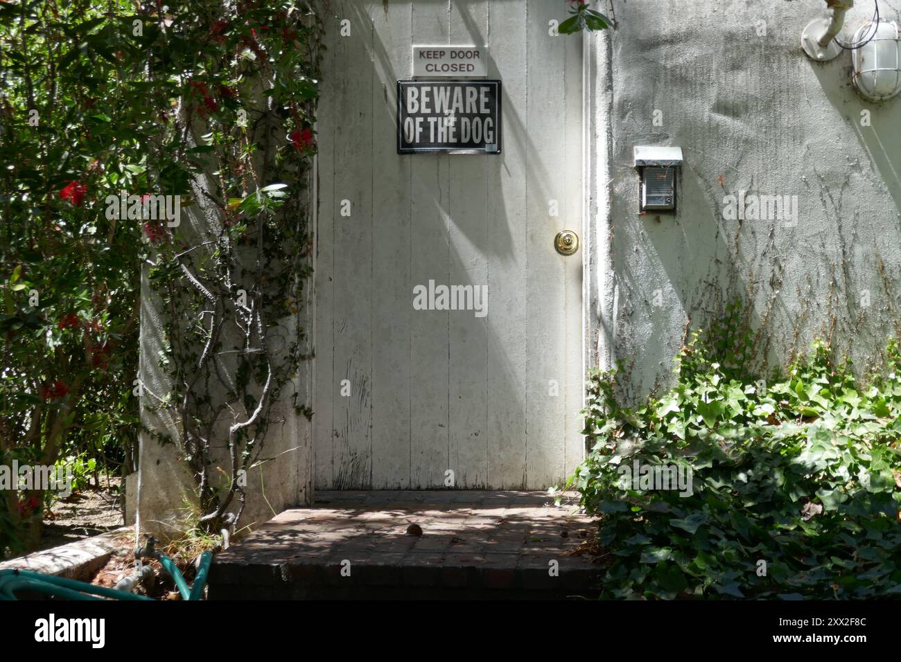 Santa Monica, California, USA 19th August 2024 Director/Comedian Mel ...