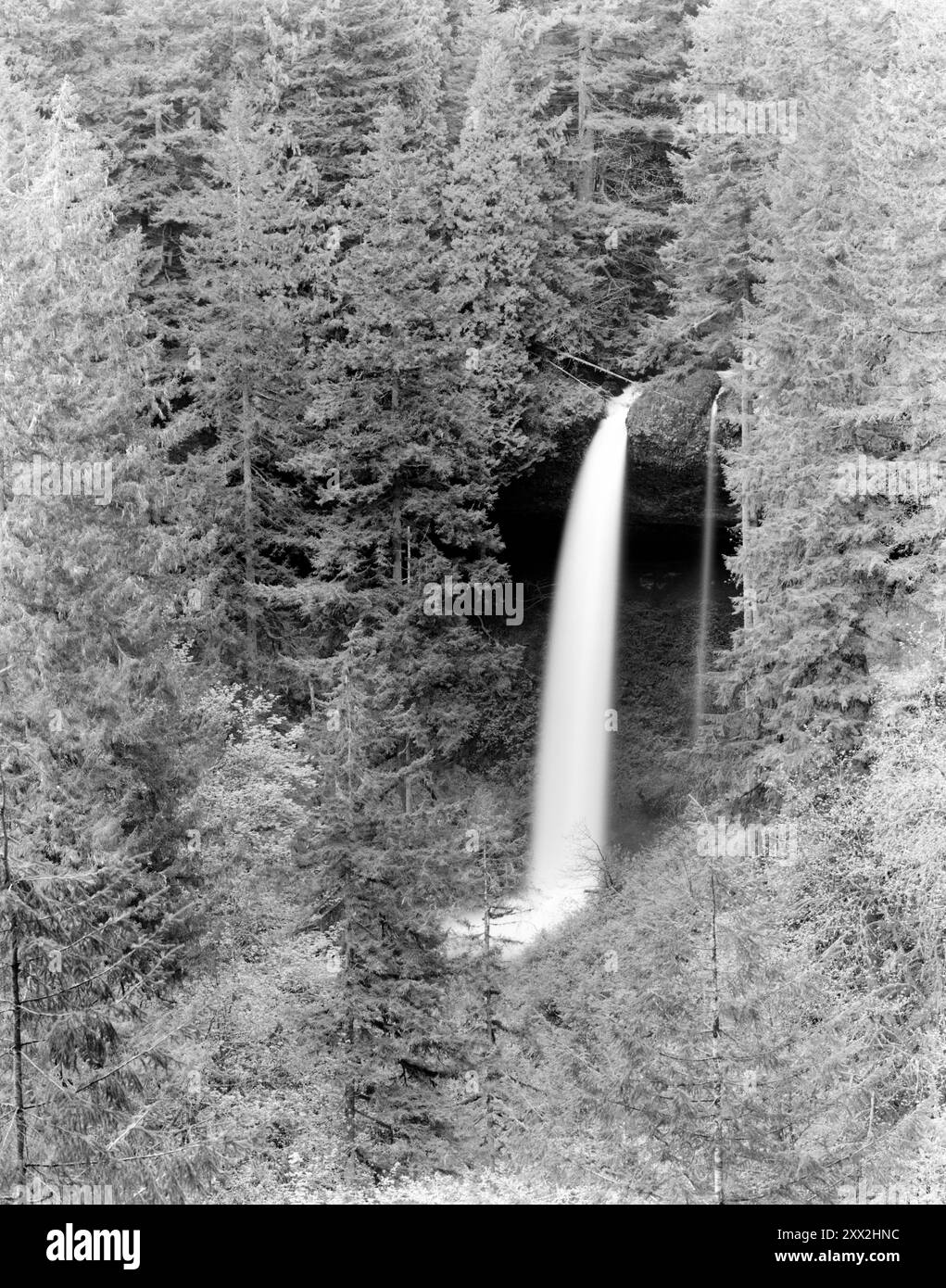 BW01995-00....OREGON - North Falls in Silver Falls State Park Stock ...