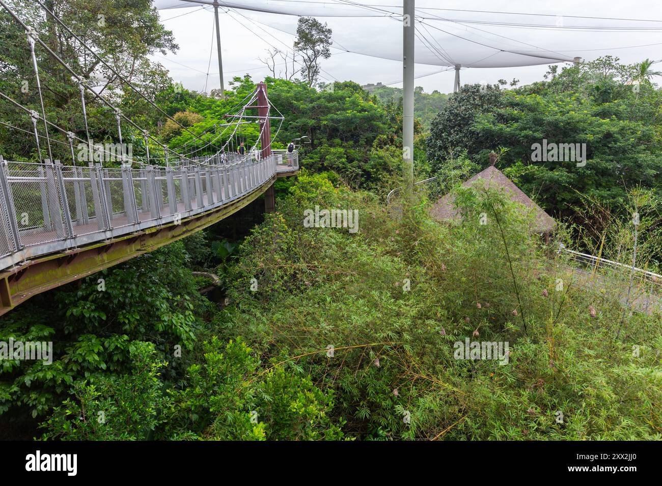 Multiple bird nests hanging on the trees at bottom right. Visitors can ...