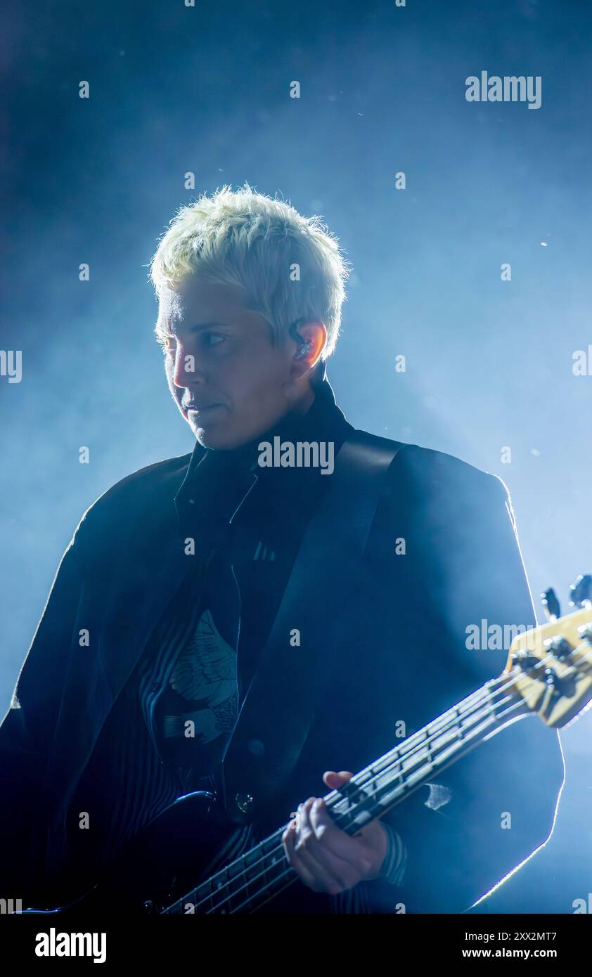New bassist hi-res stock photography and images - Alamy