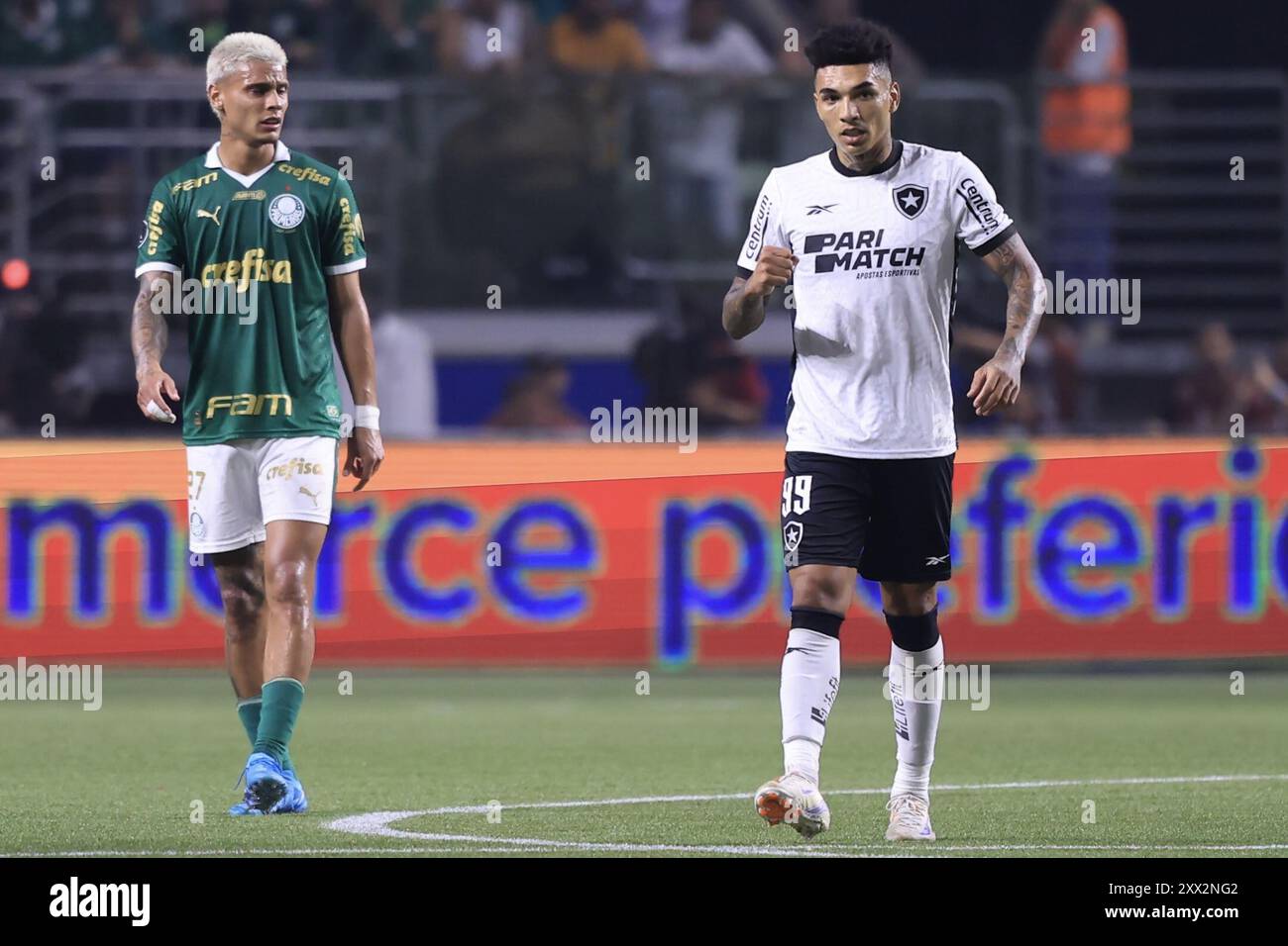 Sao Paulo, Brazil. 21st Aug, 2024. SP - SAO PAULO - 08/21/2024 - 2024 LIBERTADORES CUP ...