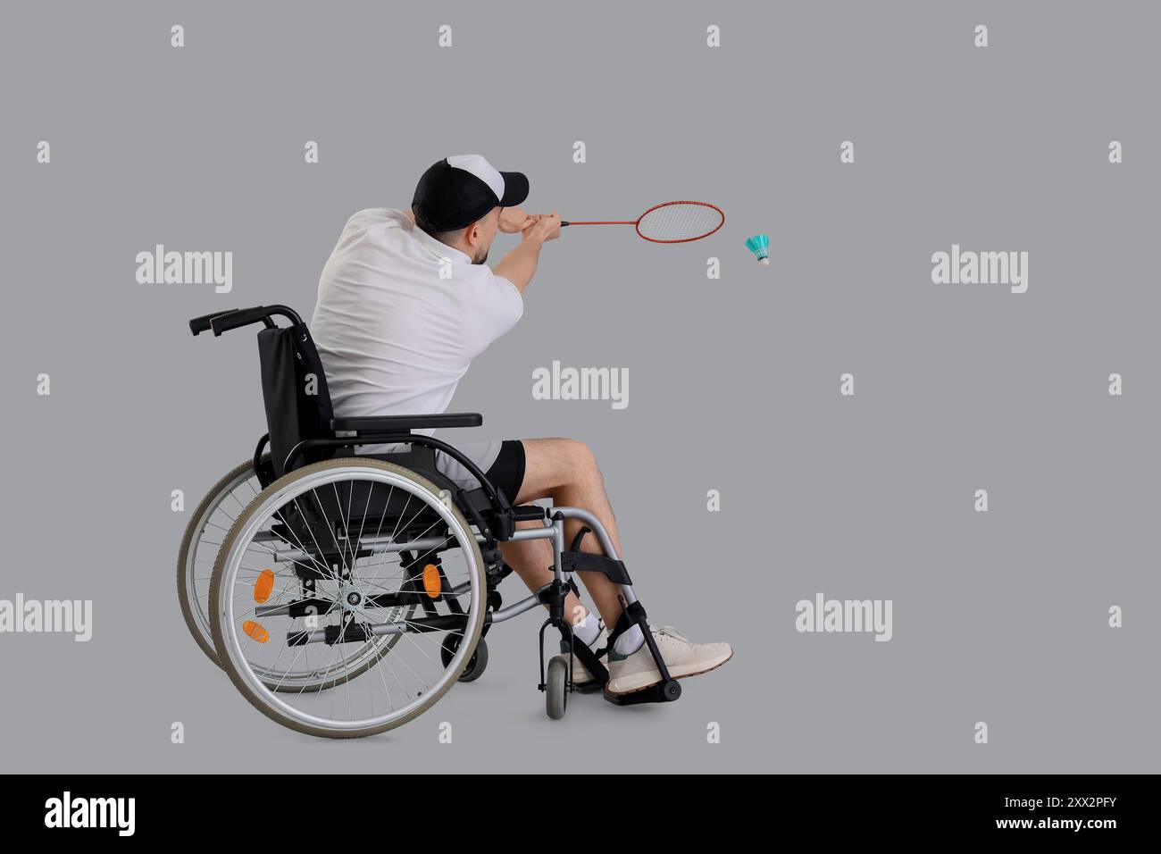 Handsome man in wheelchair playing badminton on light background, back ...