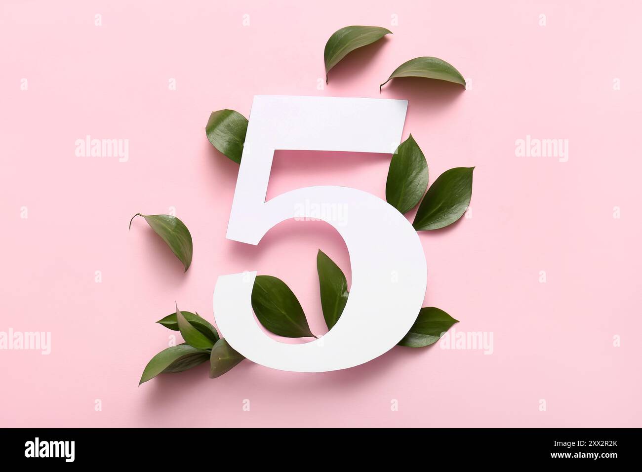 Green leaves with paper number five on pink background. Top view Stock ...