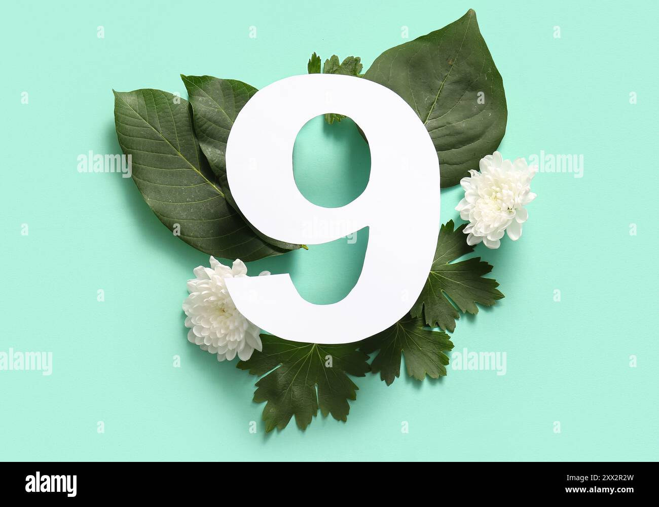 Green leaves and white flowers with paper number nine on turquoise ...