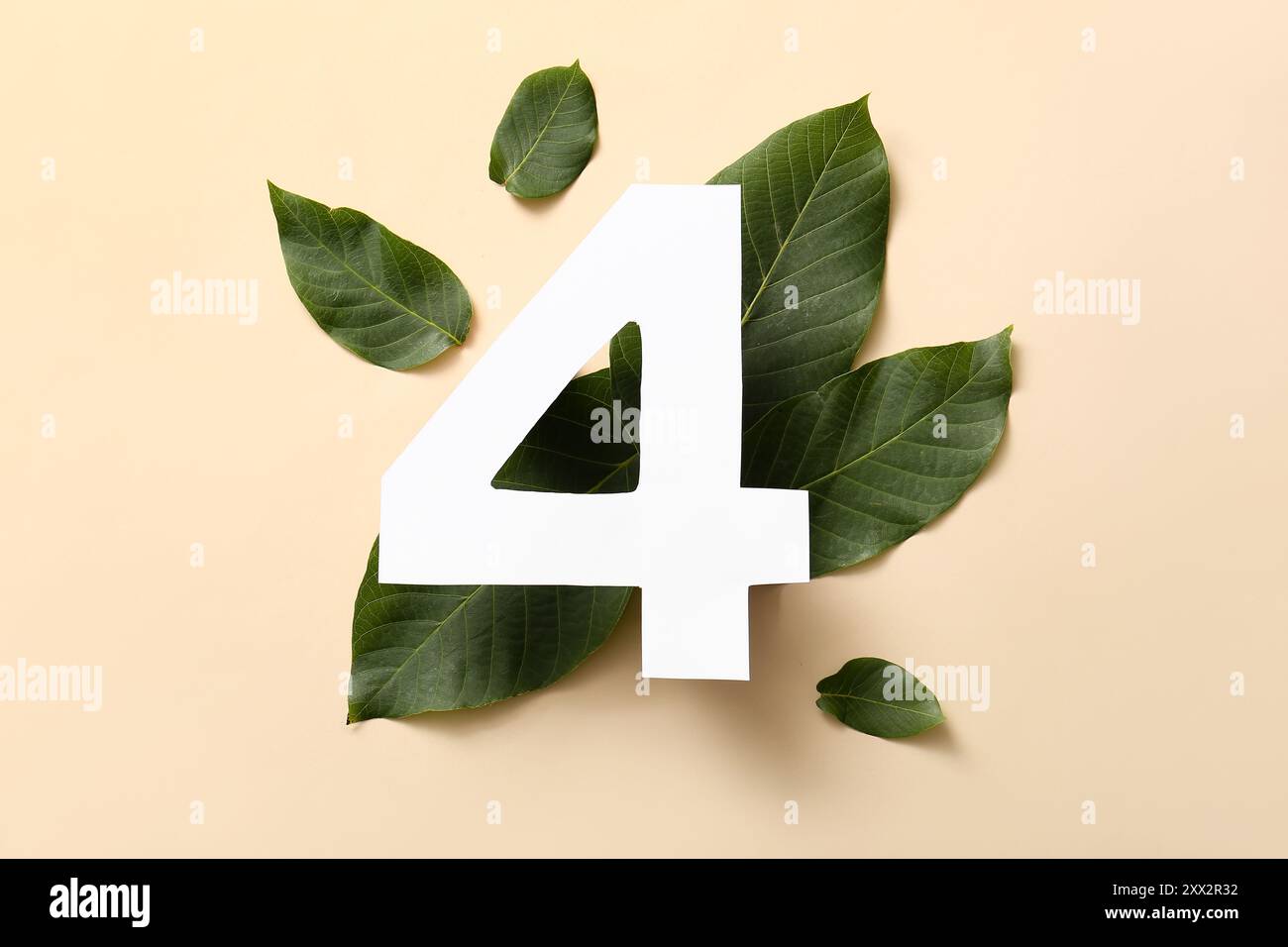 Green leaves with paper number four on beige background. Top view Stock ...