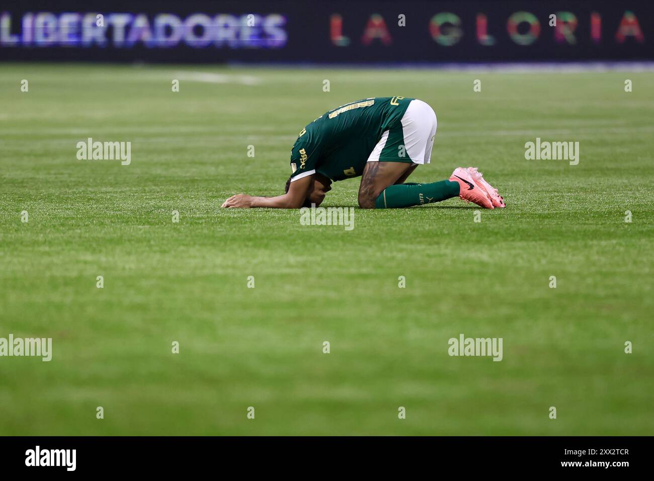 Sao Paulo, Brazil. 21st Aug, 2024. SP - SAO PAULO - 08/21/2024 - 2024 LIBERTADORES CUP ...