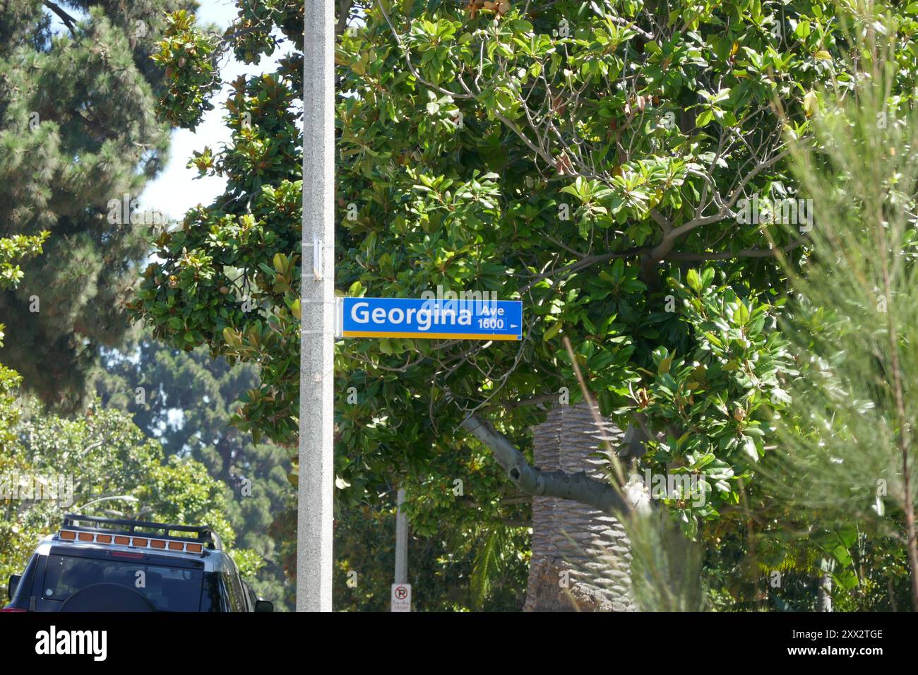 Santa Monica, California, USA 19th August 2024 Georgina Avenue on ...