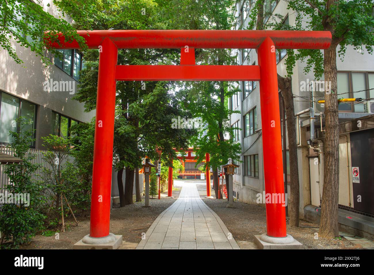 Torii of Hanazono Jinja. Hanazono Jinja Shrine is a Shinto shrine ...