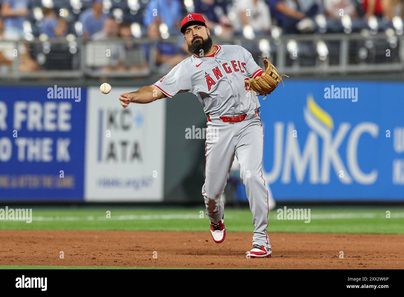 August 21, 2024: Los Angeles Angels third baseman Anthony Rendon (6 ...
