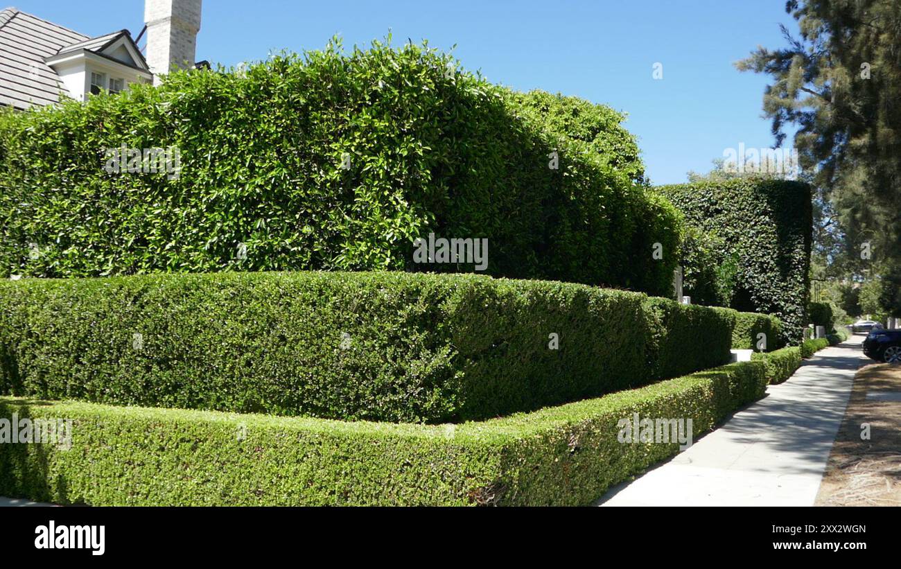 Santa Monica, California, USA 19th August 2024 Edward Gillette Former ...