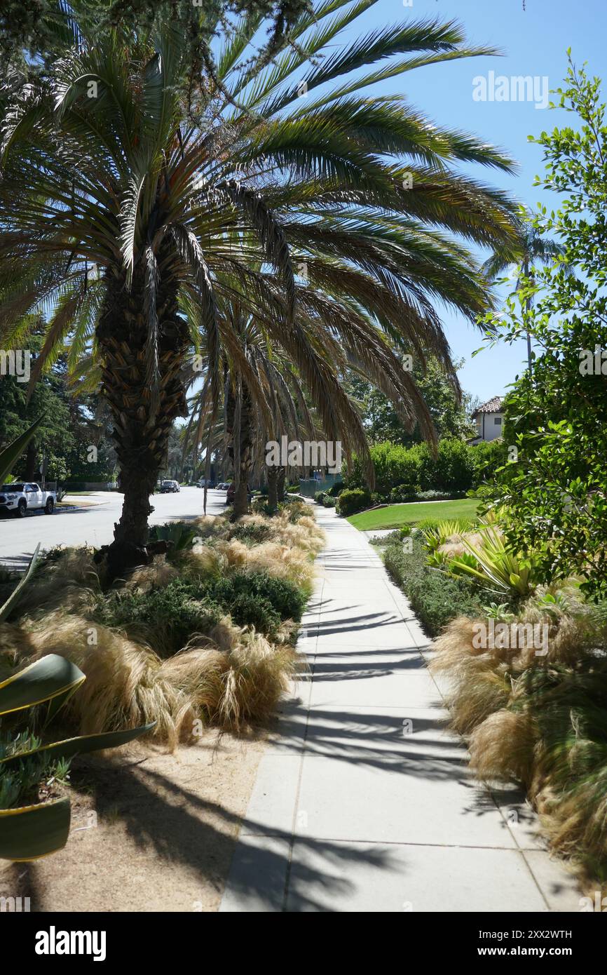 Santa Monica, California, USA 19th August 2024 Georgina Avenue on ...