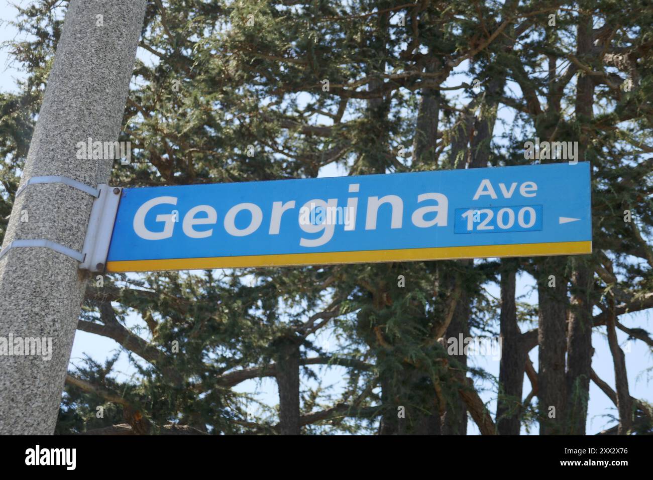 Santa Monica, California, USA 19th August 2024 Georgina Avenue on ...