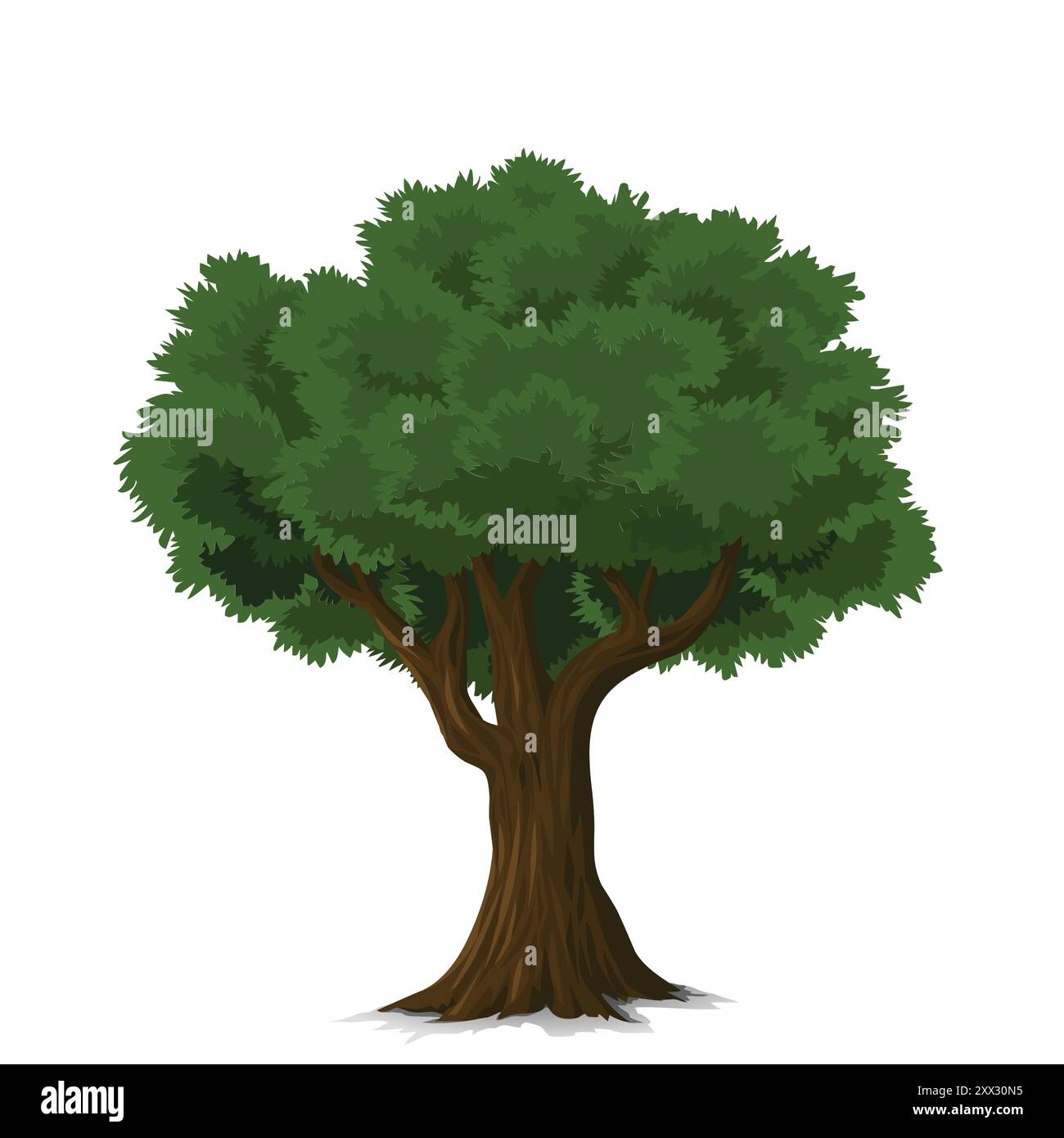 green tree with roots Vector illustration.vector tree isolated on white ...