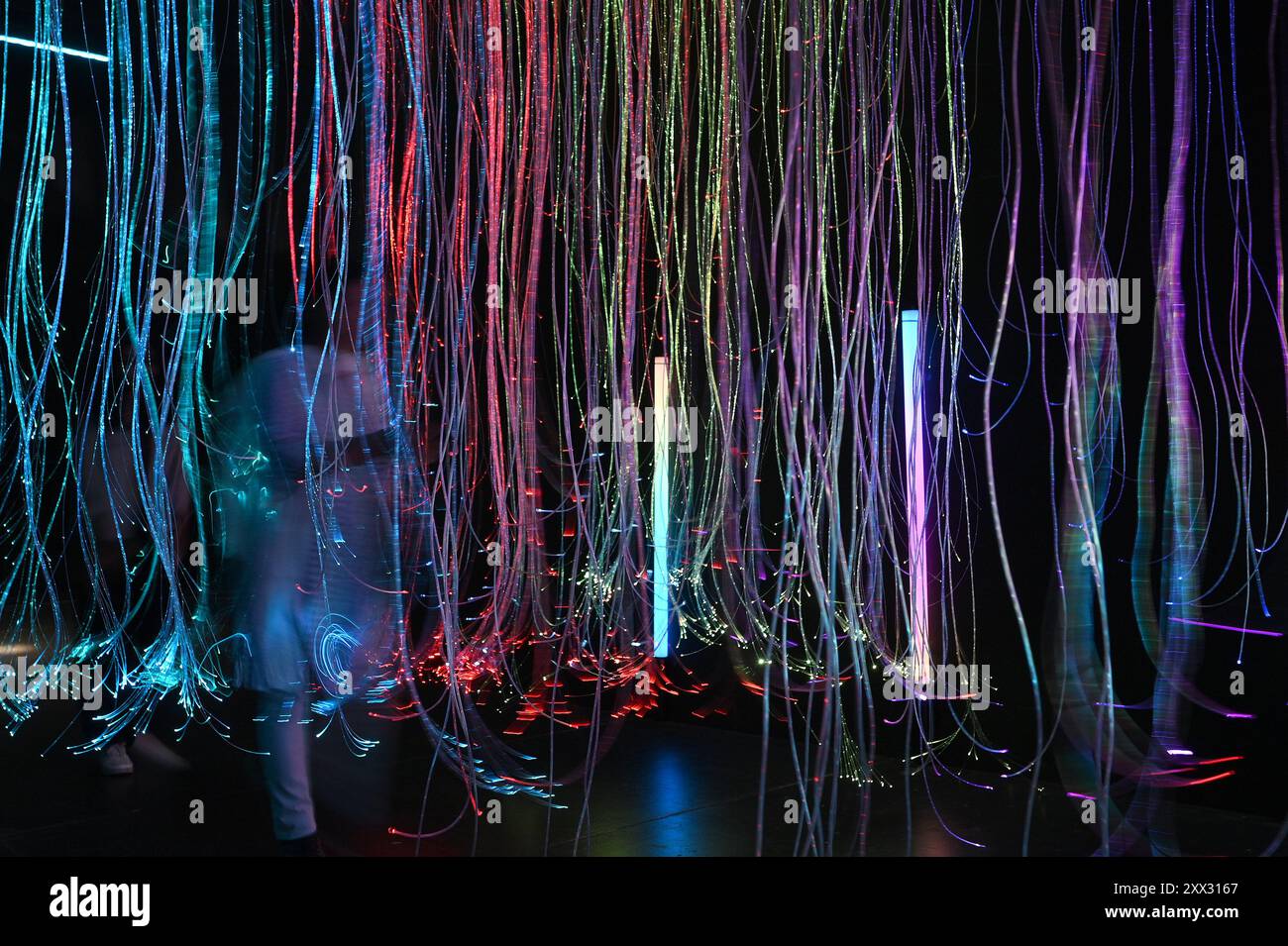 New York, USA. 21st Aug, 2024. A person walks through illuminated fiber ...