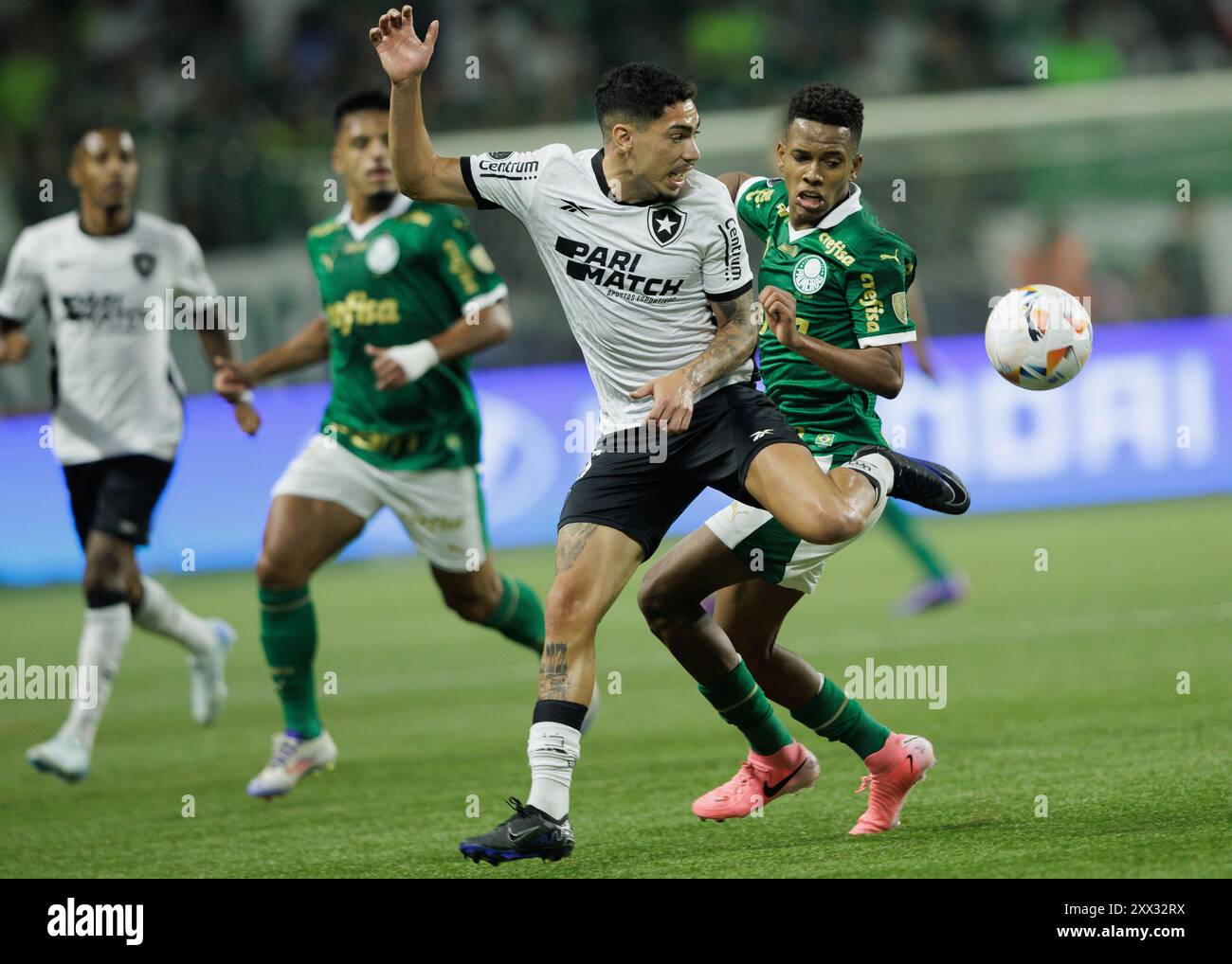 Sao Paulo, Brazil. 21th August, 2024. Soccer Football - Libertadores ...