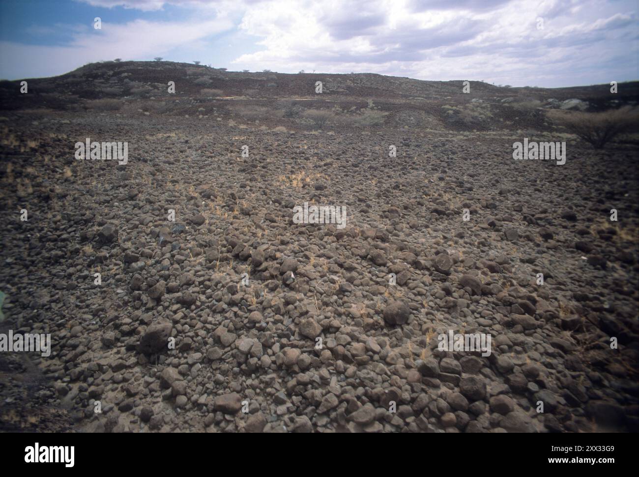 An extensive area filled with volcanic rocks just shows the intensity ...