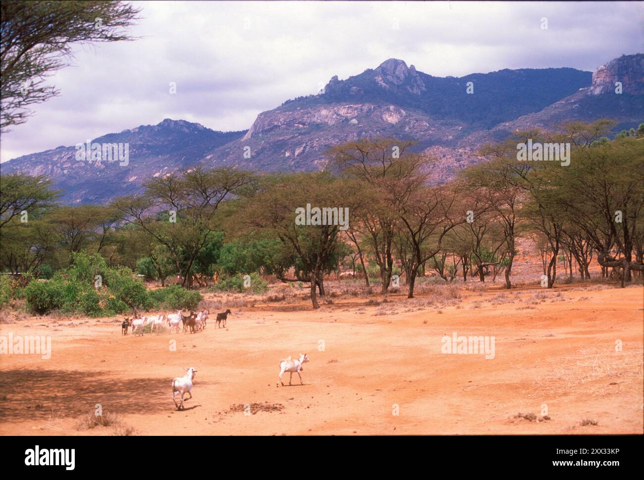 Landscape at South Horr, Northern Kenya Stock Photo - Alamy