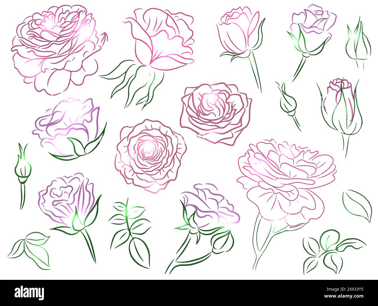 Hand drawn botanical design set with line art illustrations of styled ...