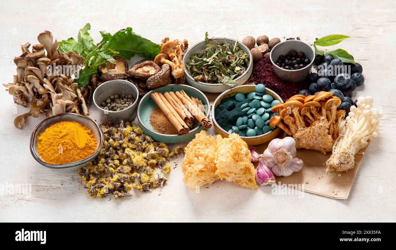 Adaptogen healthy food. Herb and spice collection on light background ...