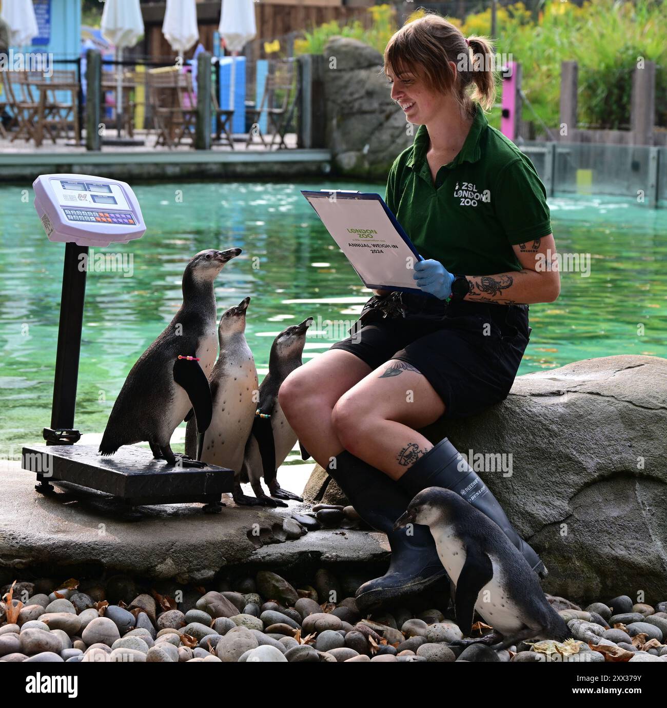 Walking over scales hi-res stock photography and images - Alamy