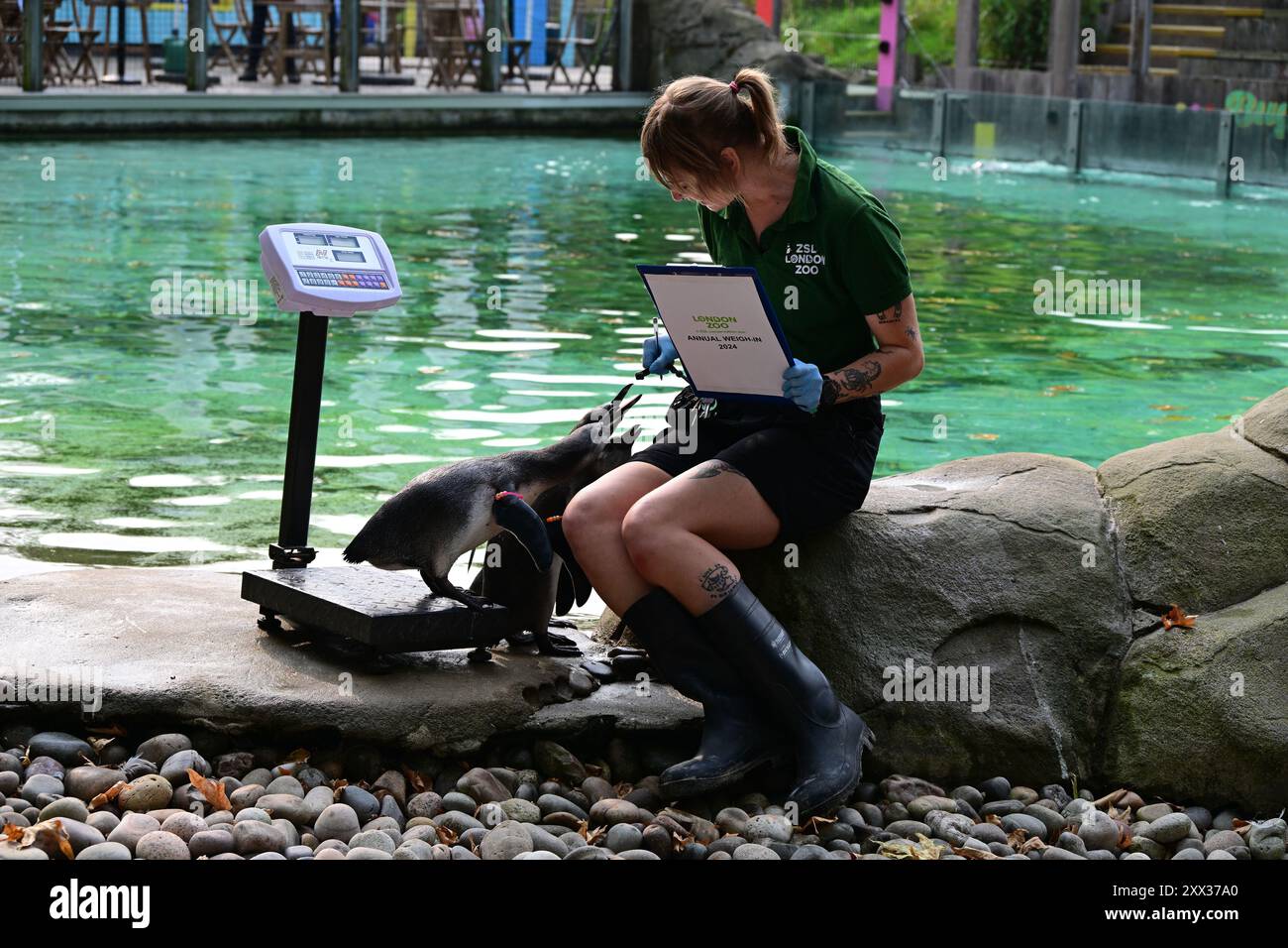 Walking over scales hi-res stock photography and images - Alamy
