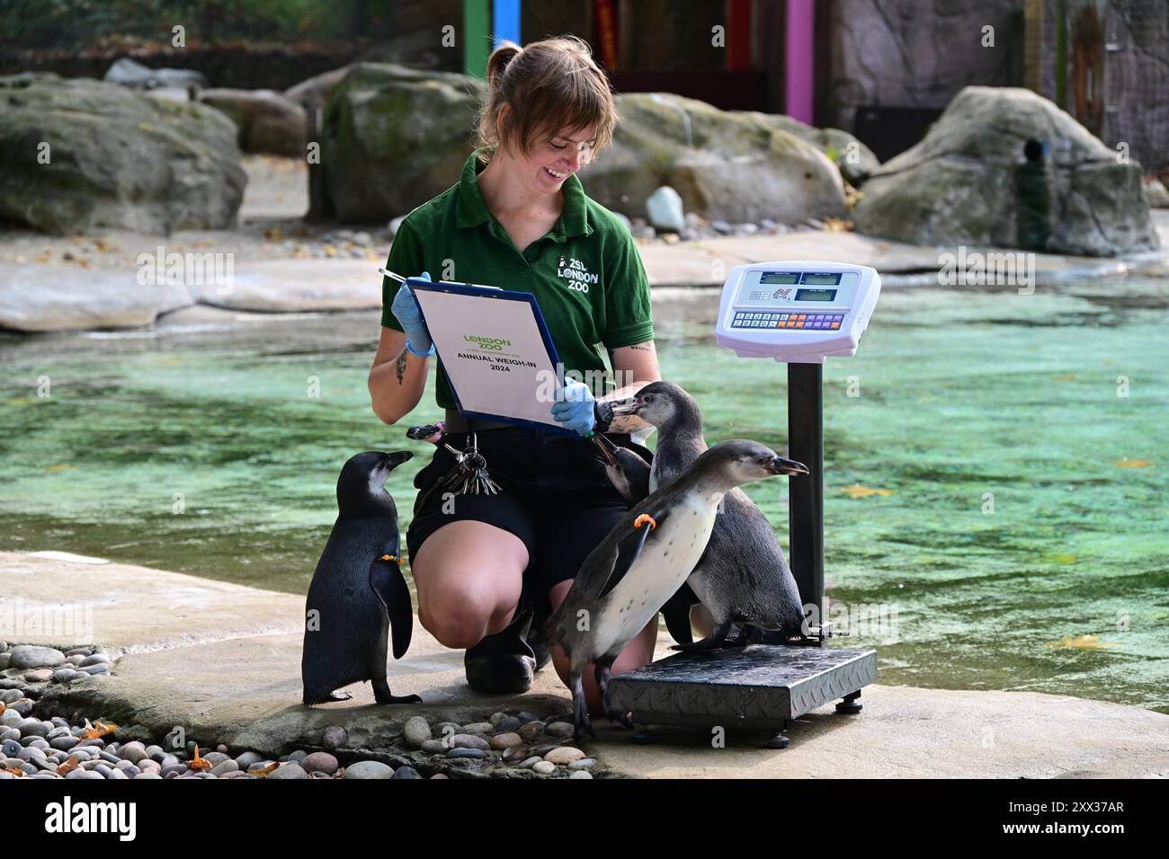 Walking over scales hi-res stock photography and images - Alamy