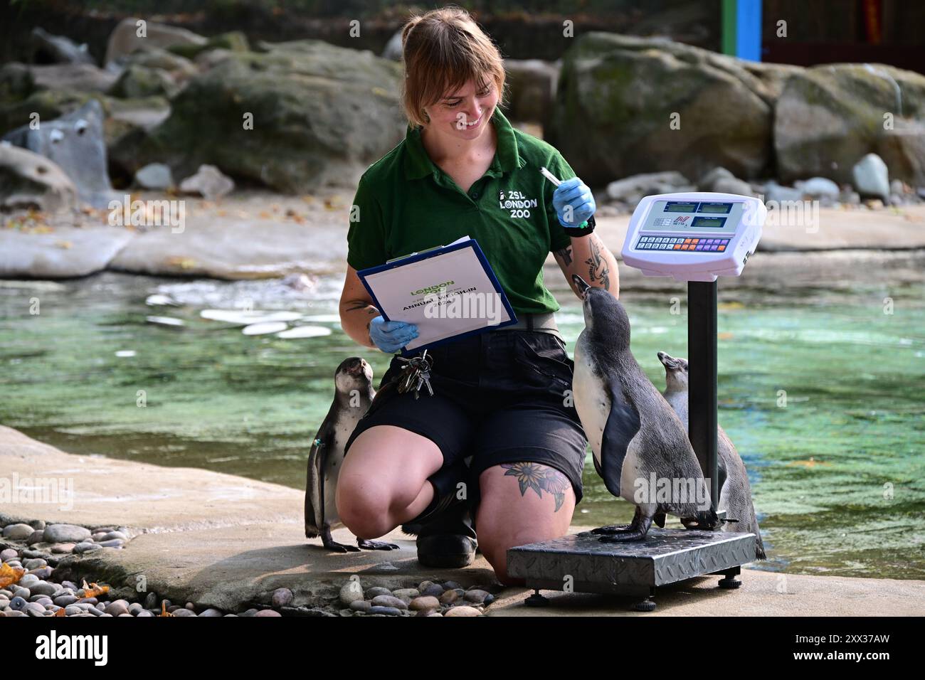 Walking over scales hi-res stock photography and images - Alamy