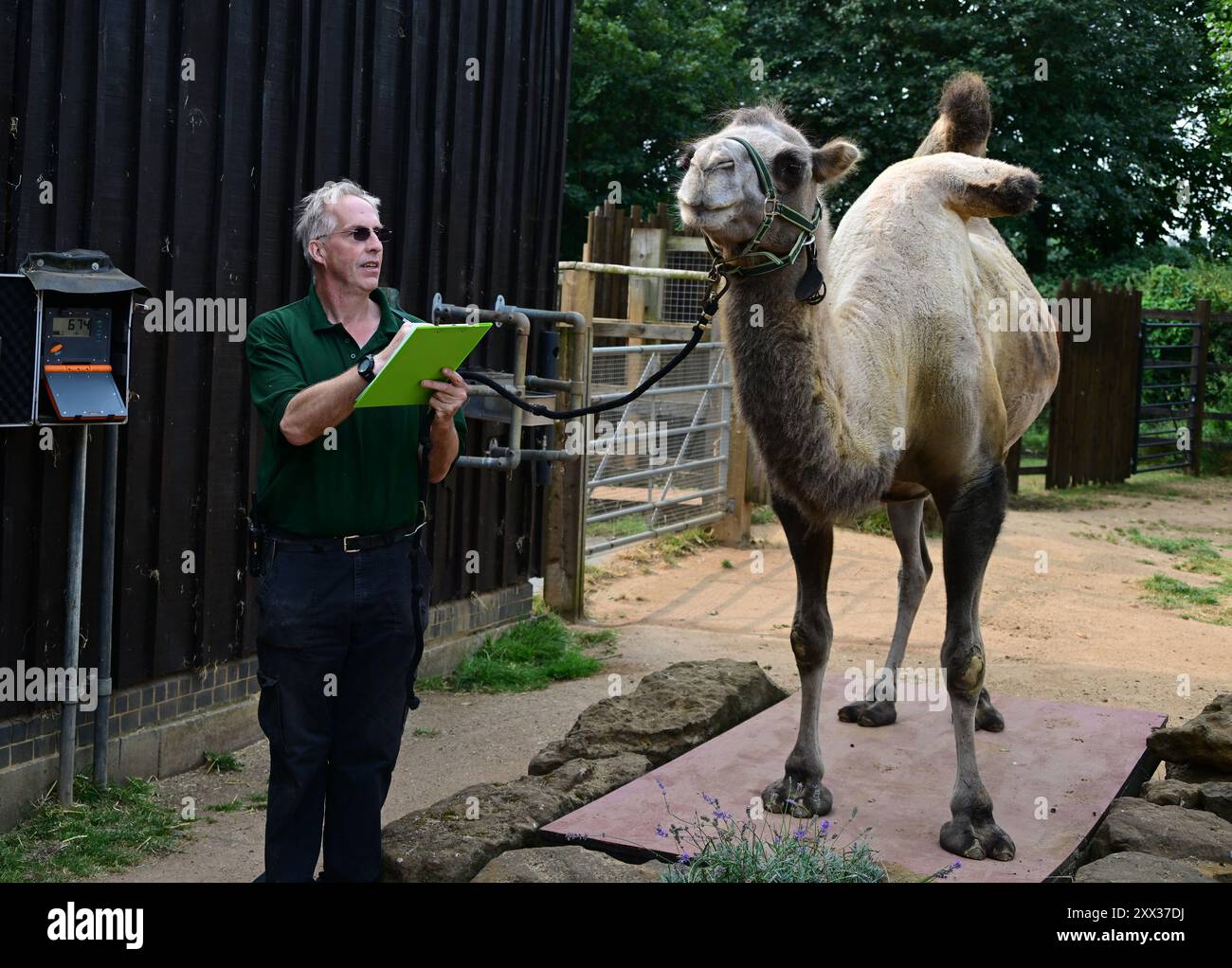 ZSL London Zoo, Regent's Park, London, UK. 19th Aug, 2024. The Annual ...