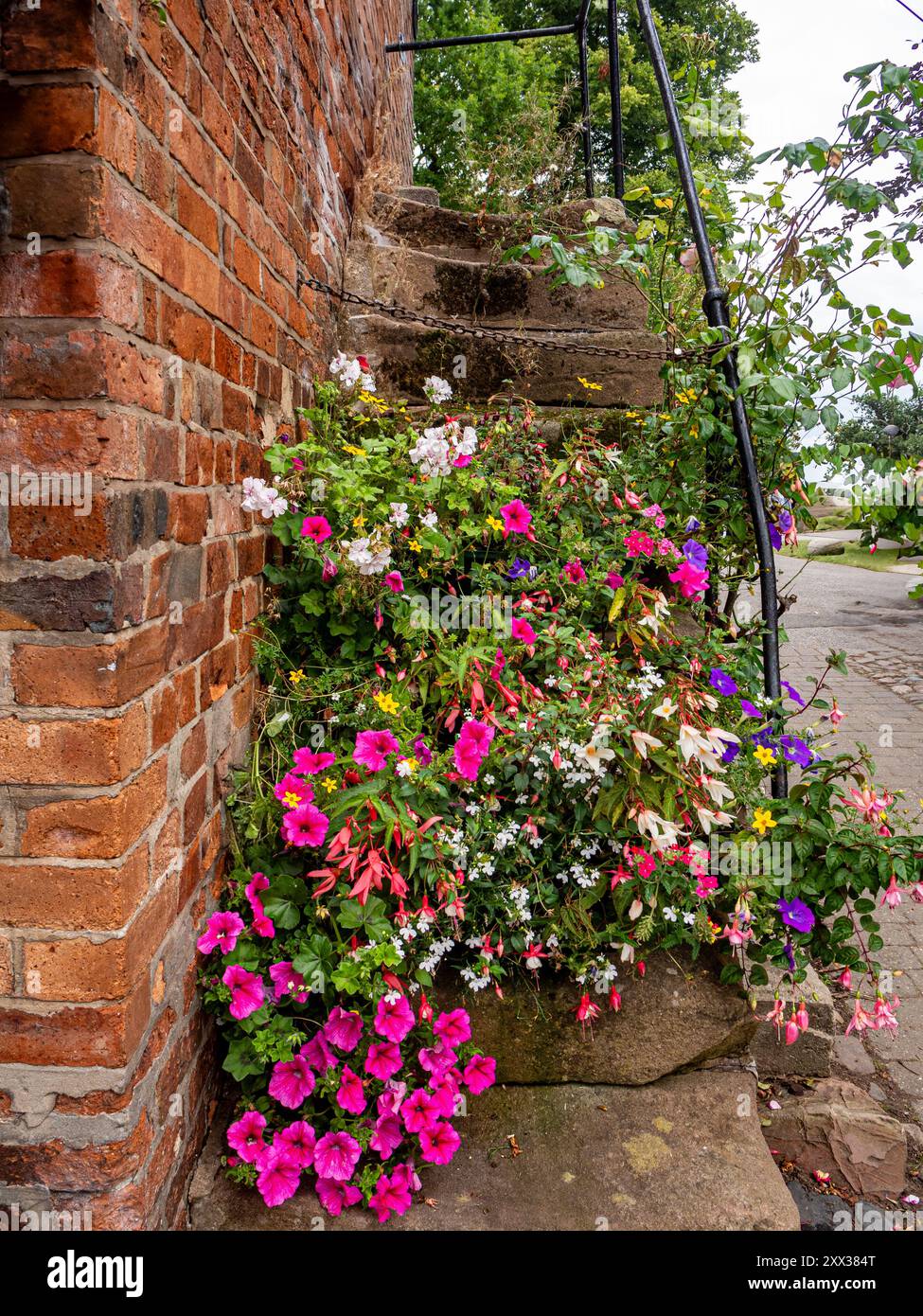 Well worn stone steps repurposed as a feature with colourful summer ...