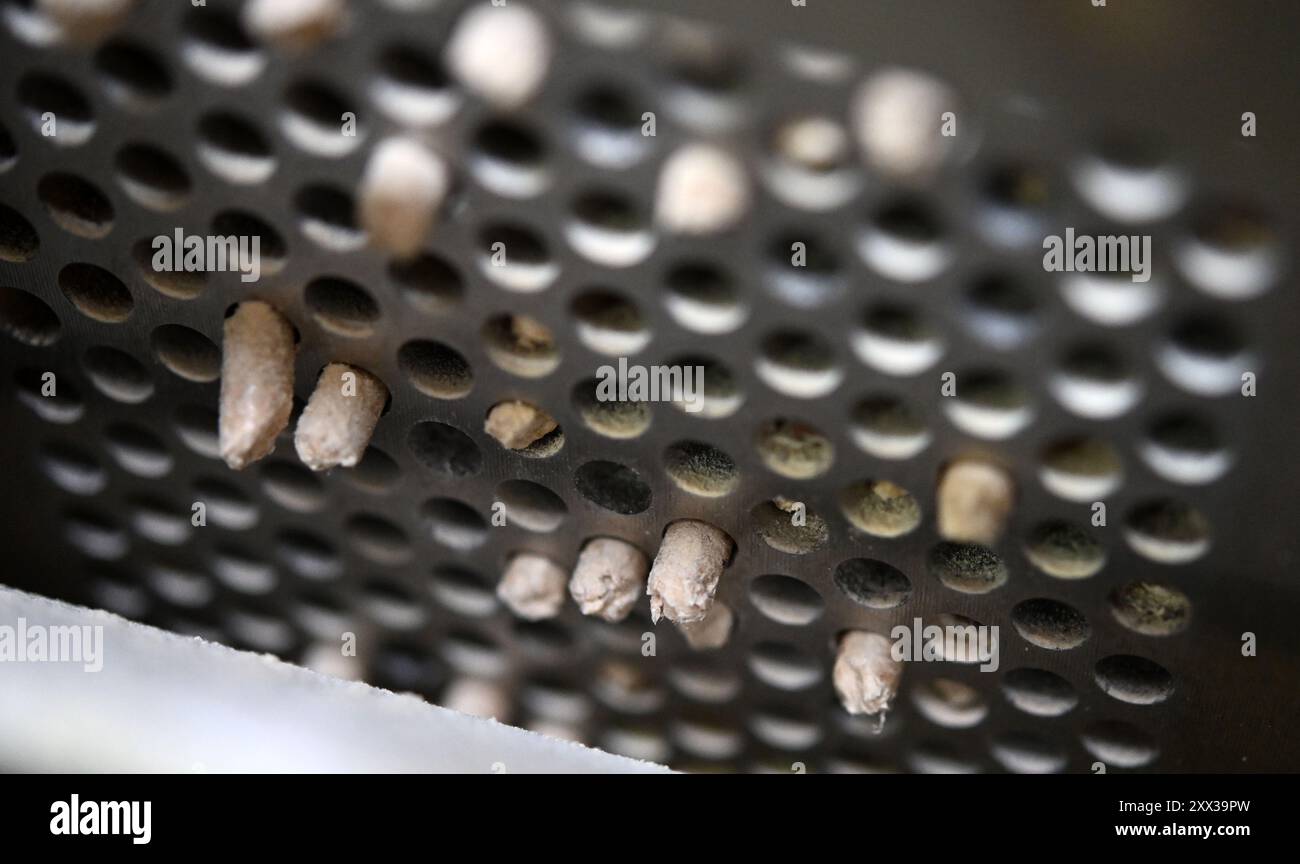 Pellet heating systems hi-res stock photography and images - Alamy