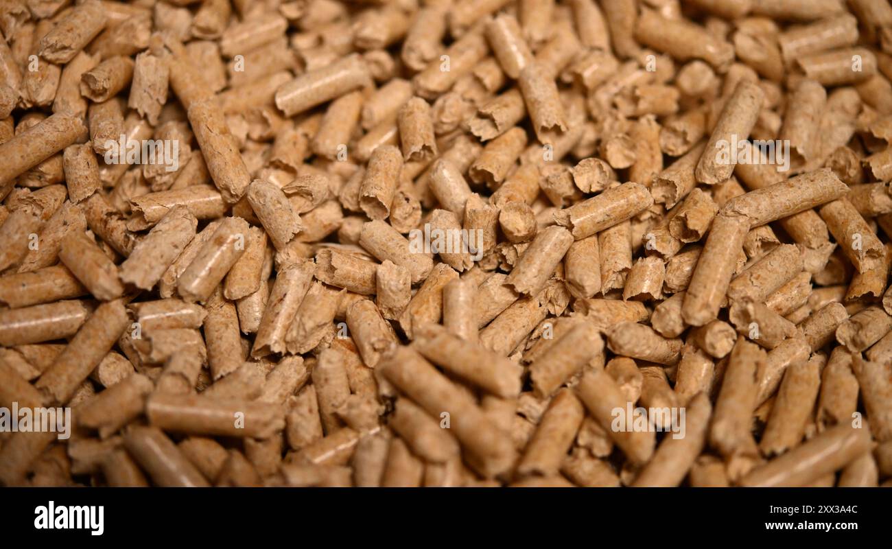 Fossil matrix hi-res stock photography and images - Alamy