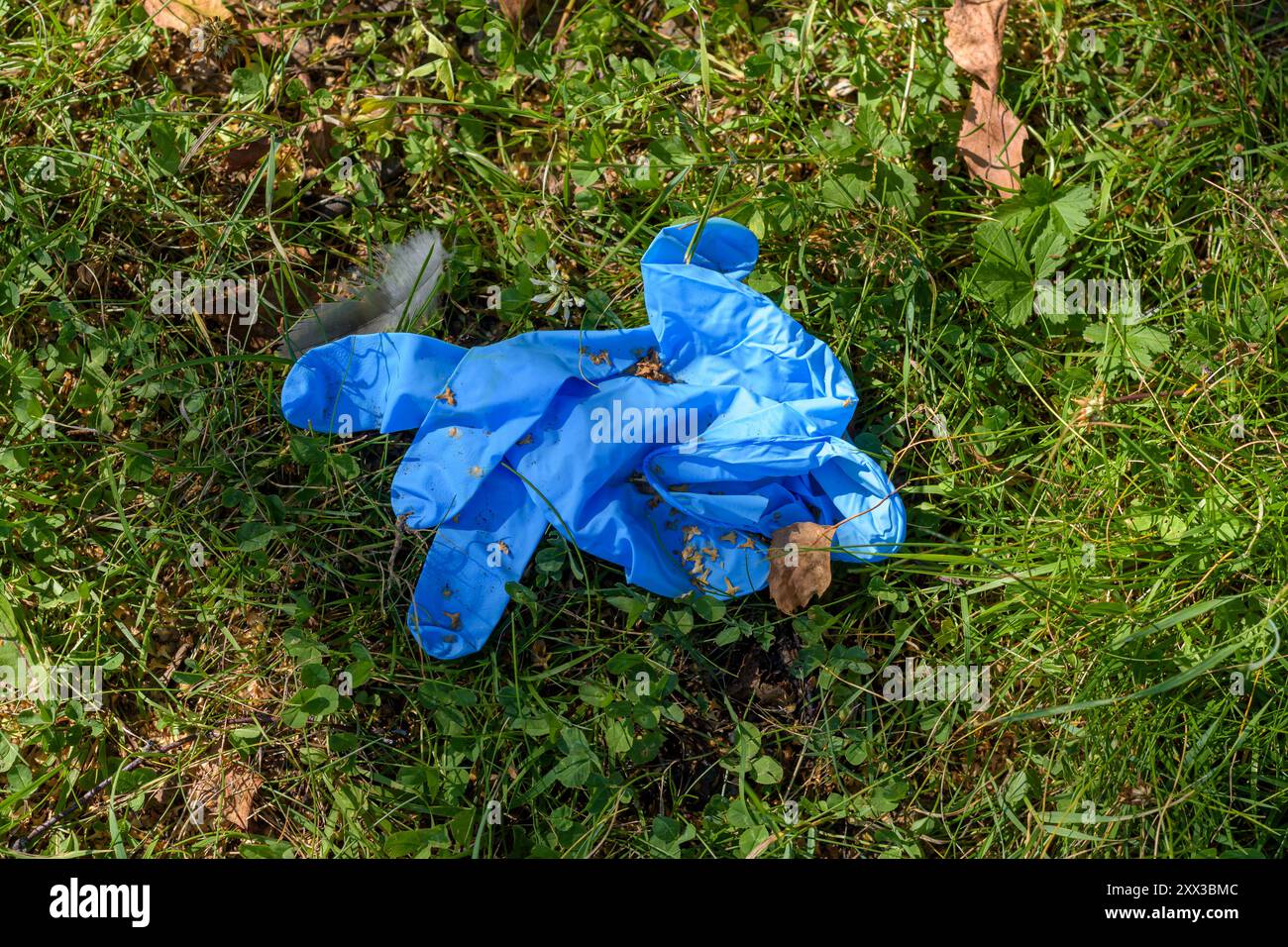 Littering hi-res stock photography and images - Alamy