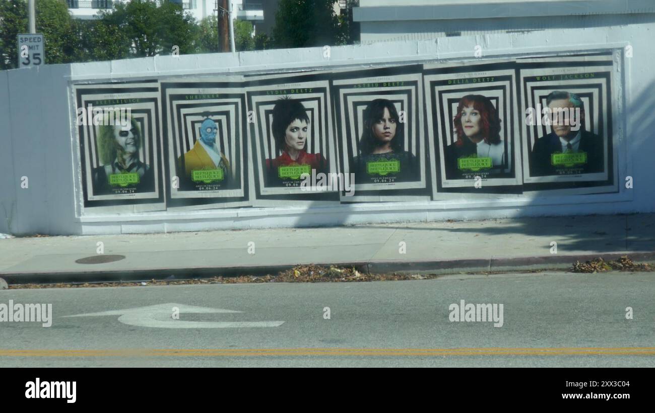Los Angeles, California, USA 19th August 2024 Tim Burton Beetlejuice ...