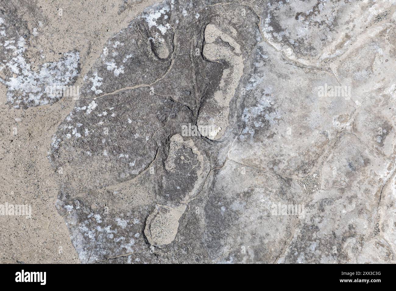 Engare Sero (Engaresero) footprints, rarest human / hominid footprints ...