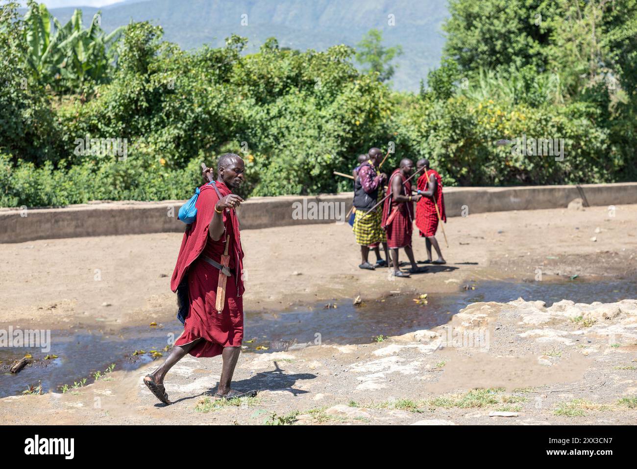 Maasai carry water tanzania hi-res stock photography and images - Alamy