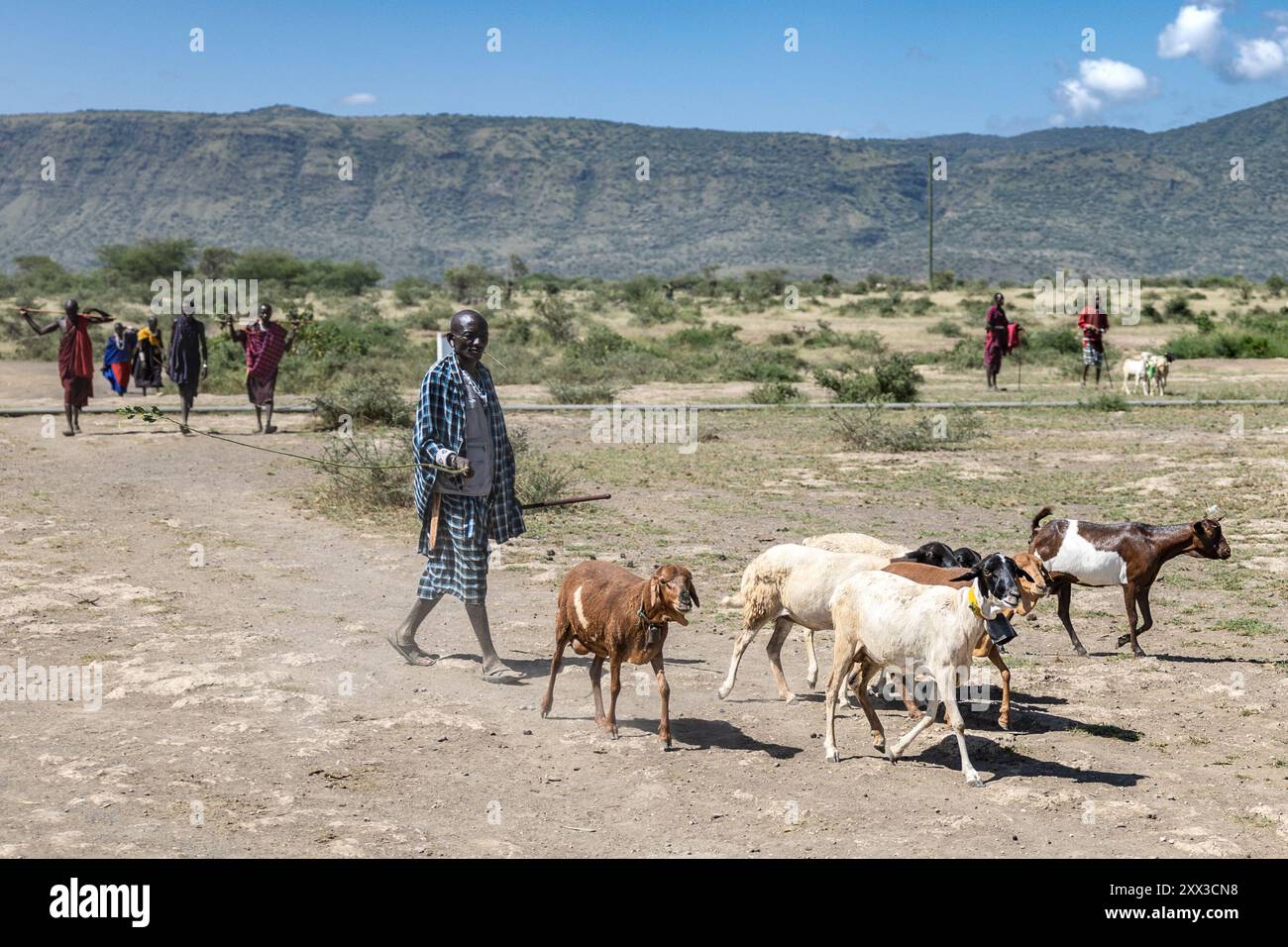 Maasai going to market in local village, Engaruka, Arusha, Tanzania ...