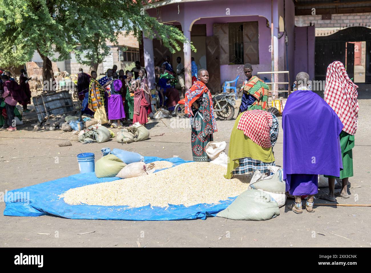 Market day in Maasai village, Maize for ugali, Engaruka, Arusha ...