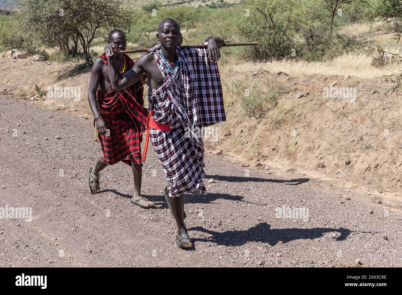 Maasai going to market in local village, Engaruka, Arusha, Tanzania ...