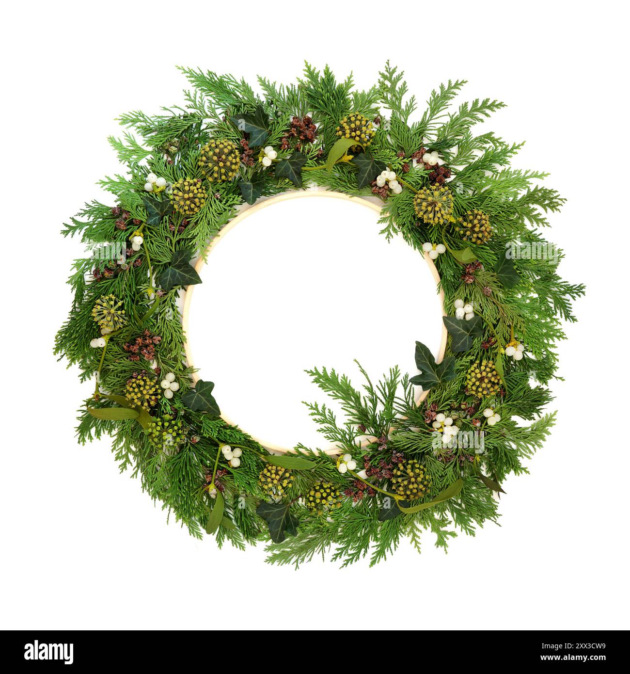 Winter Christmas cedar fir, mistletoe, ivy leaf green wreath flora on ...