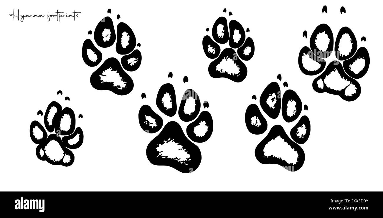 Hand drawn wild animals foot prints Stock Vector Image & Art - Alamy