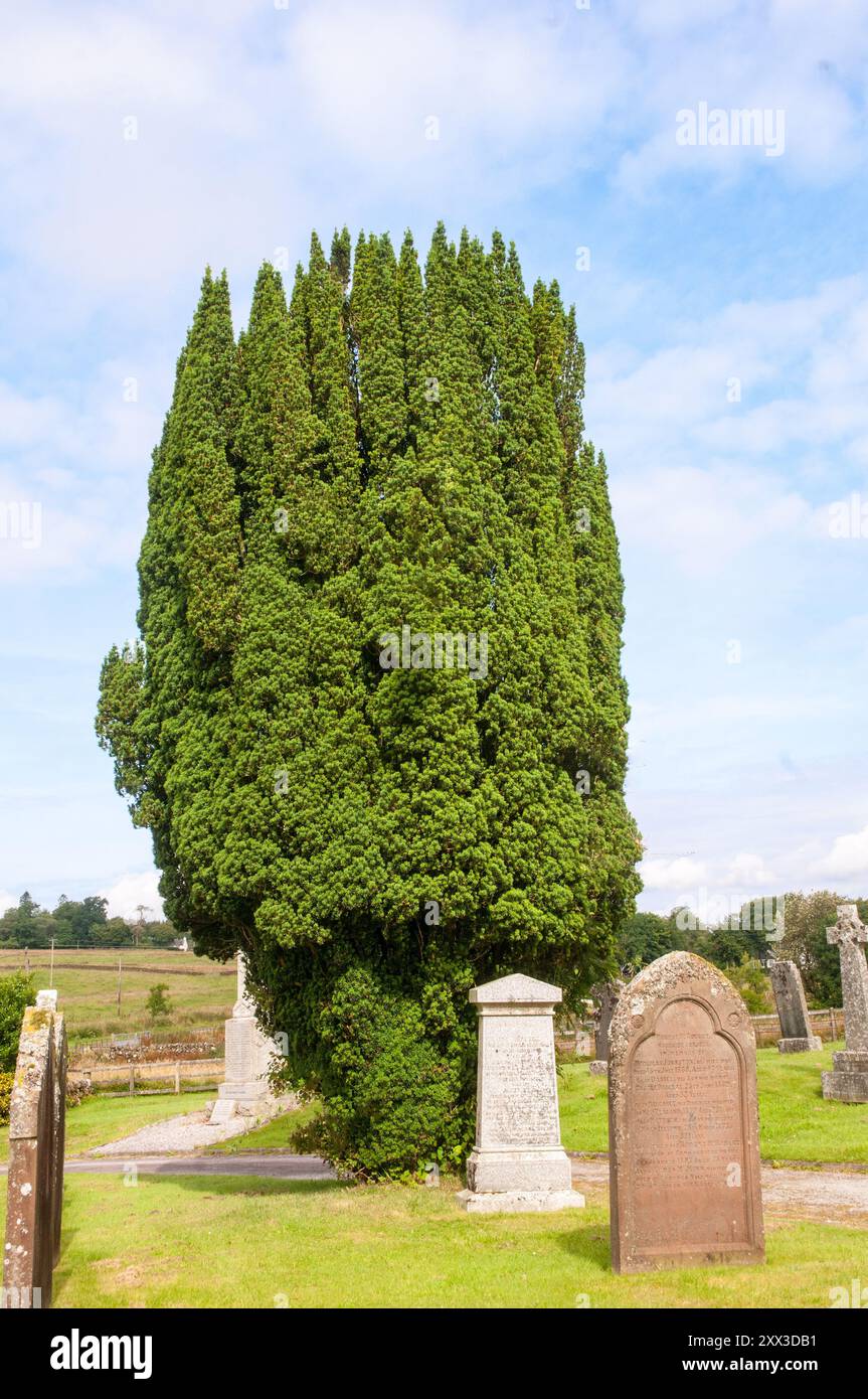 Corsock scotland hi-res stock photography and images - Alamy