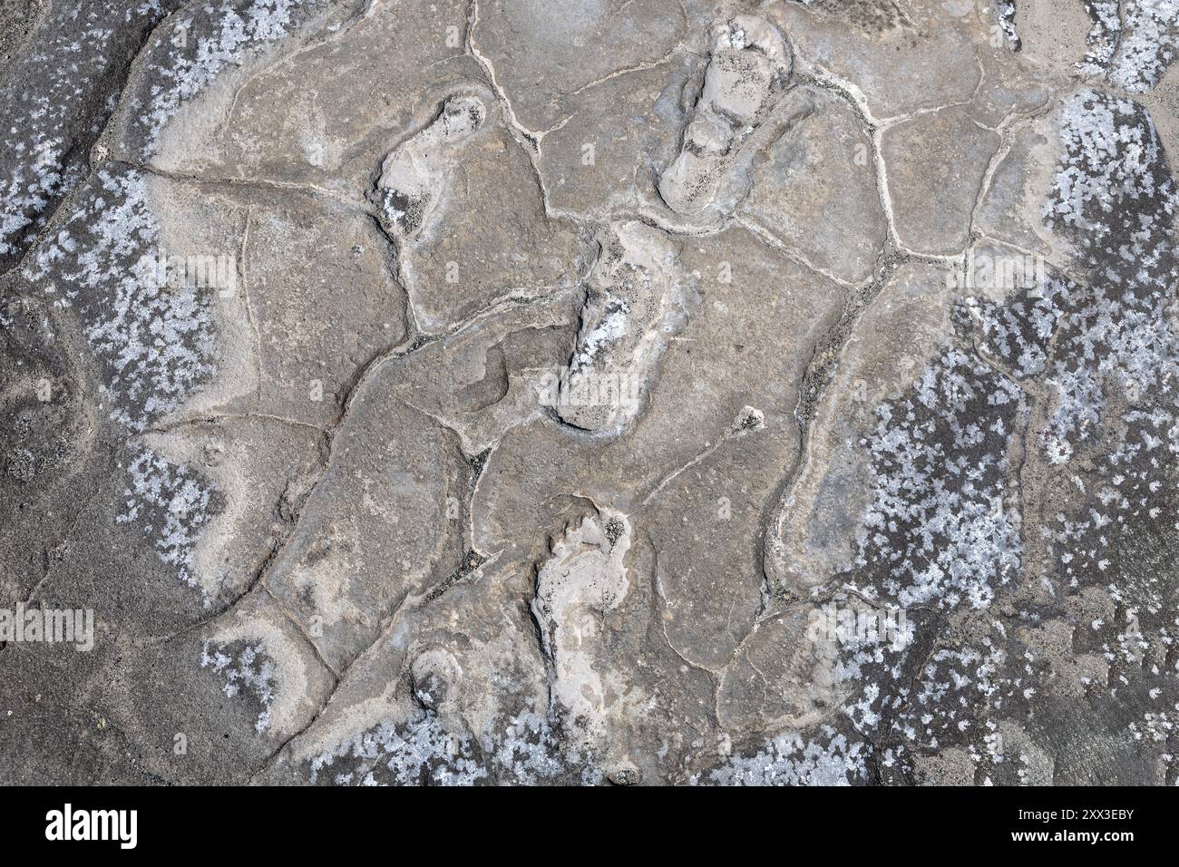 Engare Sero (Engaresero) footprints, rarest human / hominid footprints ...