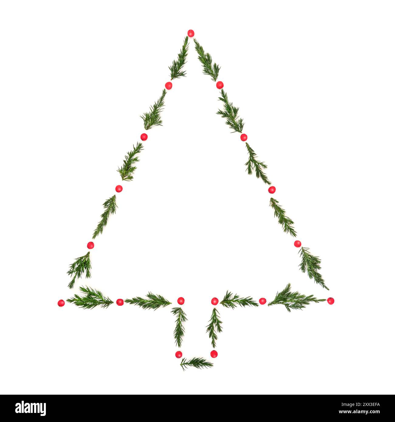 Christmas tree abstract shape with juniper fir and winter red holly ...
