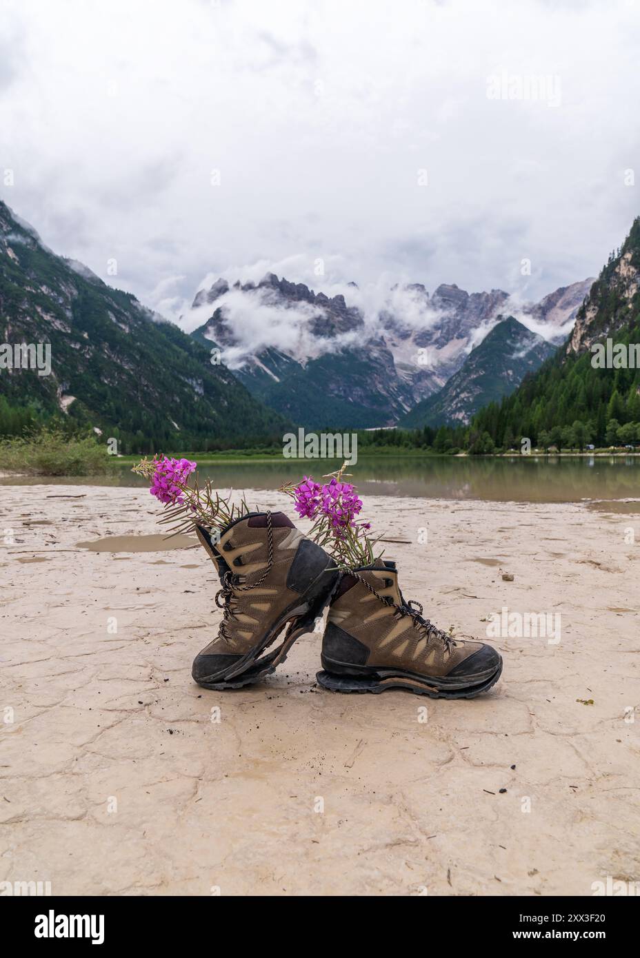 Hiking boots with flowers in nature, in the Dolomites Stock Photo - Alamy