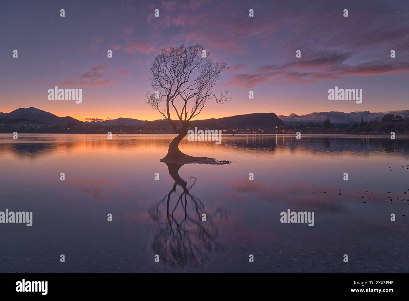 Winter sunrise at the Wanaka Tree, NZ Stock Photo - Alamy