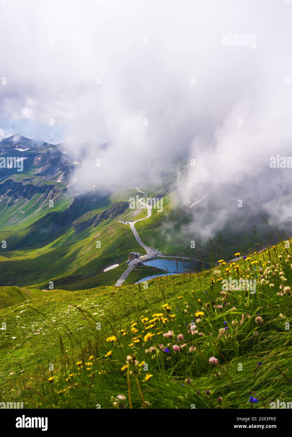 View through flowers on the high mountain road, clouds descending on ...