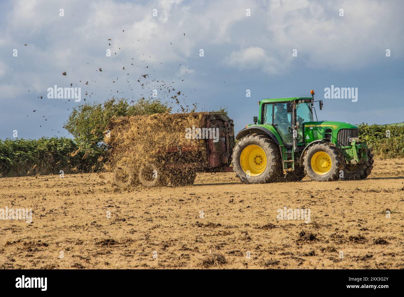 Spreading farmyard manure Stock Photo - Alamy